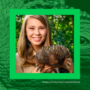 Ripple Device | Warner Bros. Discovery Brand Guide